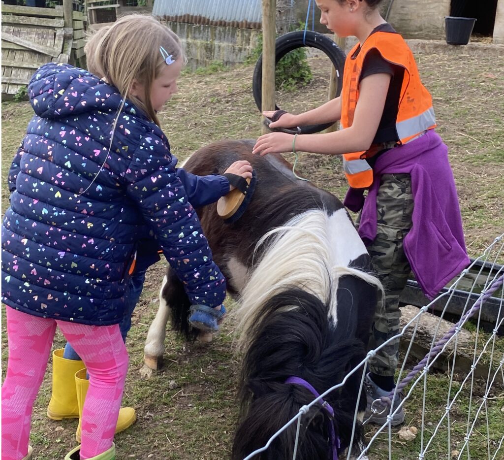 For Children, Young People & Families - Bath City Farm