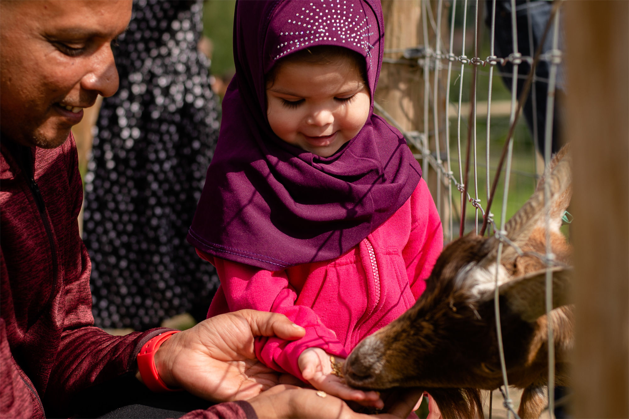 Events - Bath City Farm